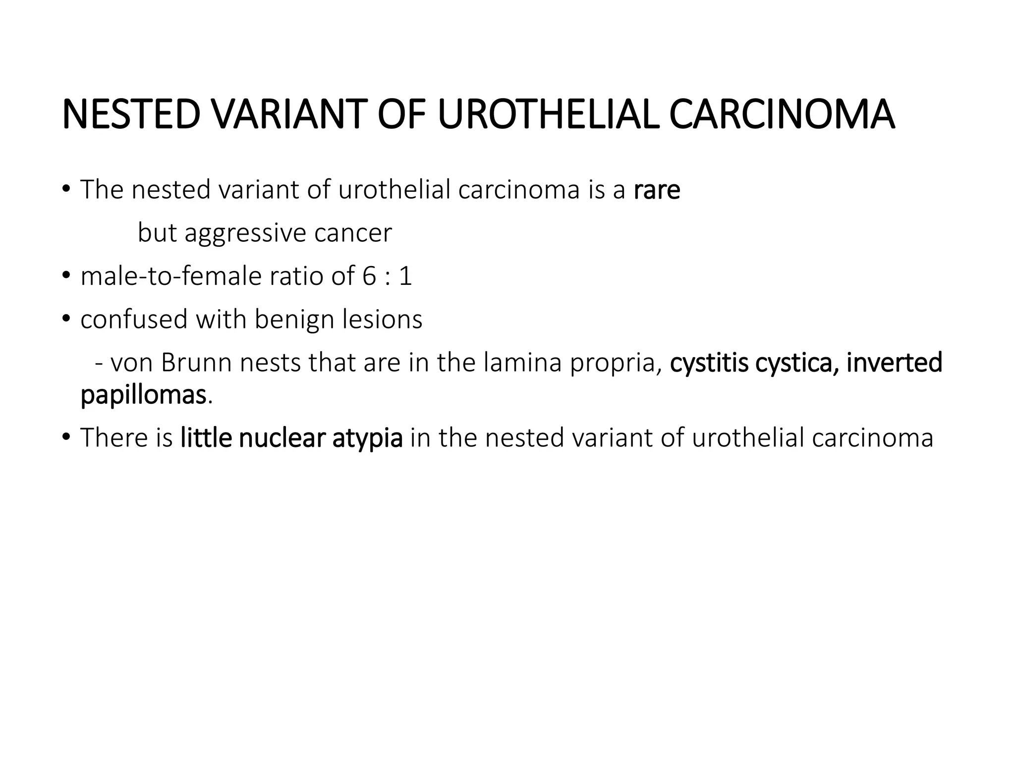 Pathology ca bladder | PPTX