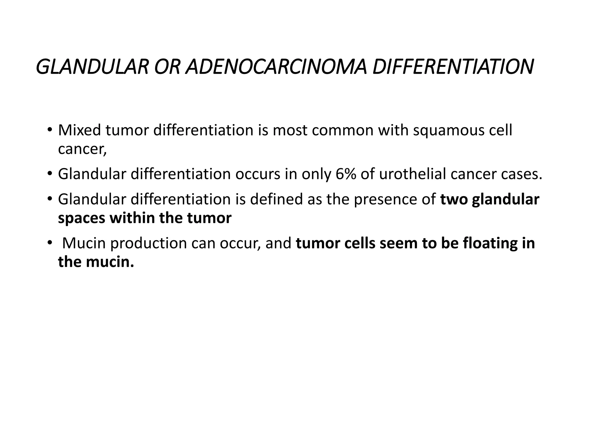 Pathology ca bladder | PPTX