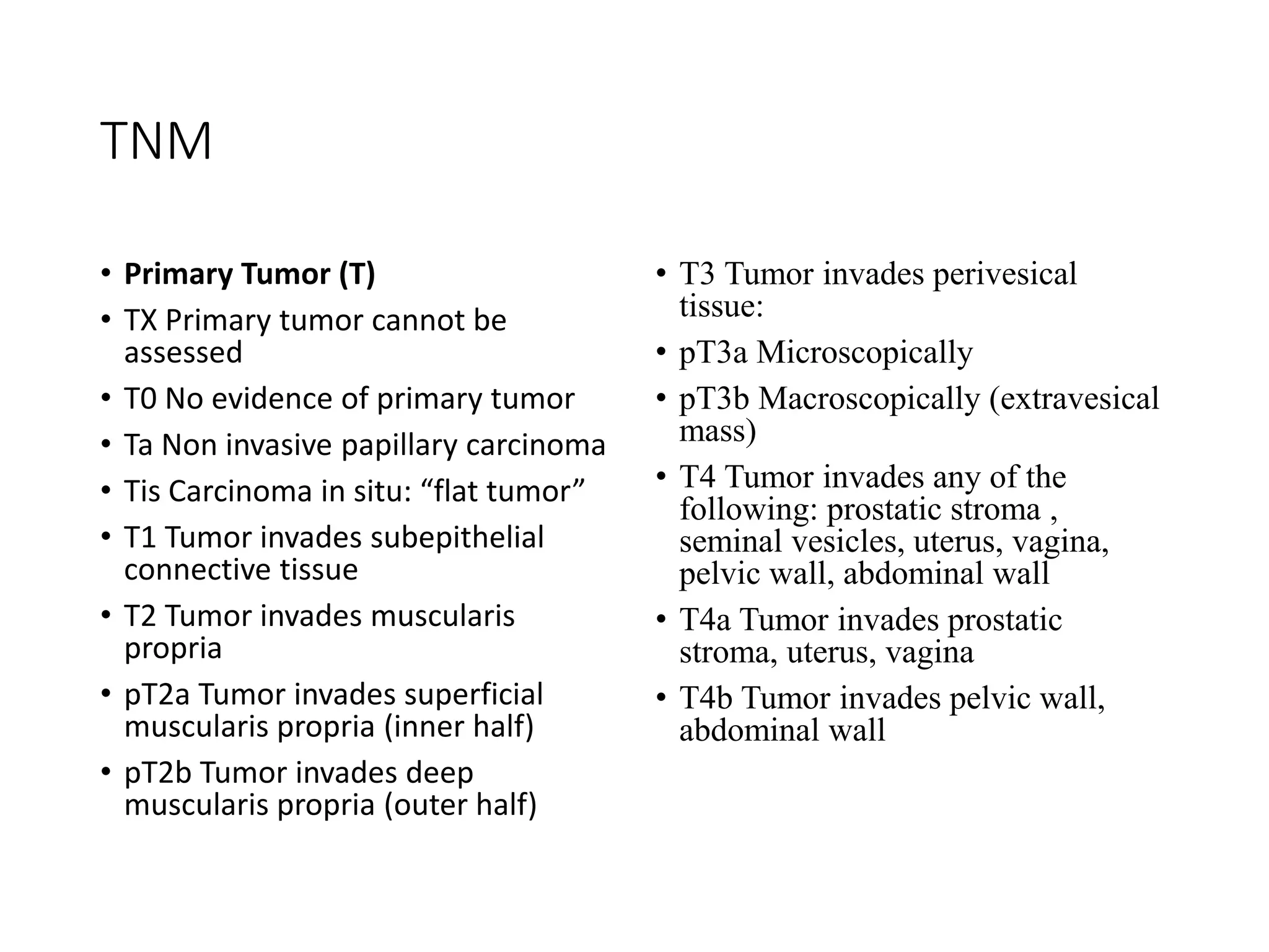 Pathology ca bladder | PPTX