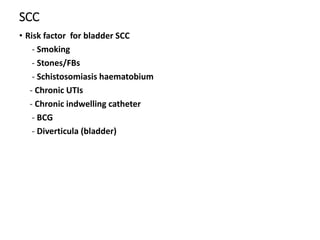 Pathology ca bladder | PPTX