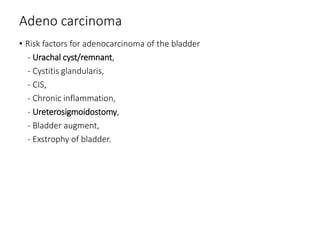 Pathology ca bladder | PPTX
