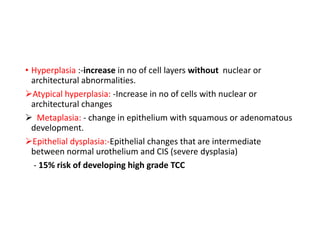 Pathology ca bladder | PPTX