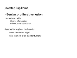 Pathology ca bladder | PPTX