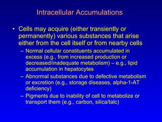 Pathology cell injury ii | PPT