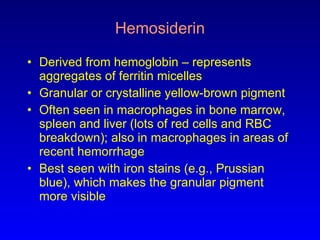 Pathology cell injury ii | PPT