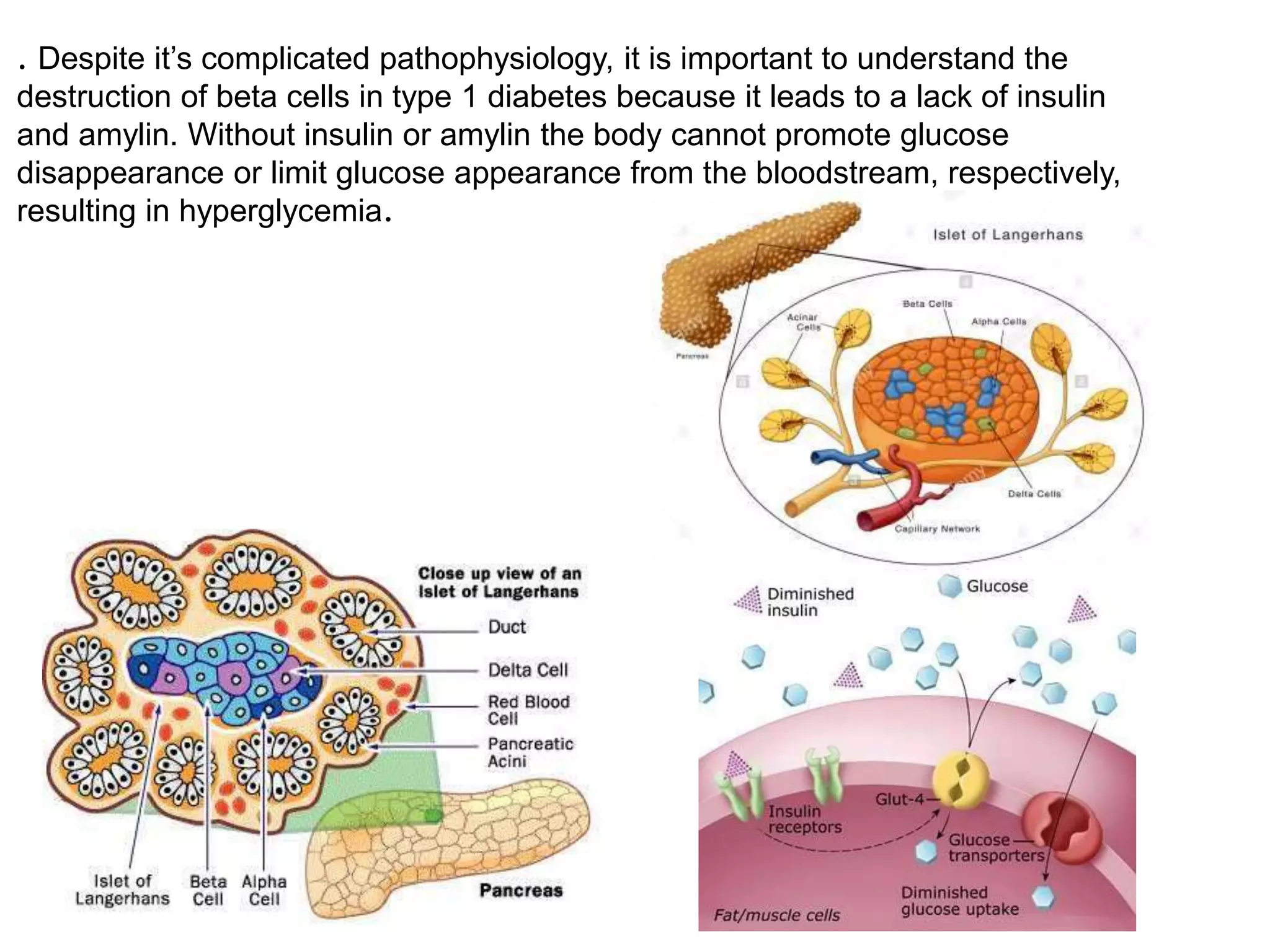 Pathophysiology of diabetes | PPT