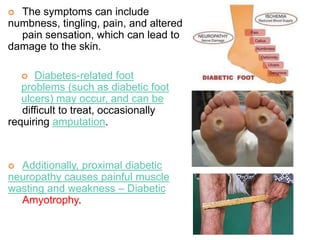 Pathophysiology of diabetes | PPT
