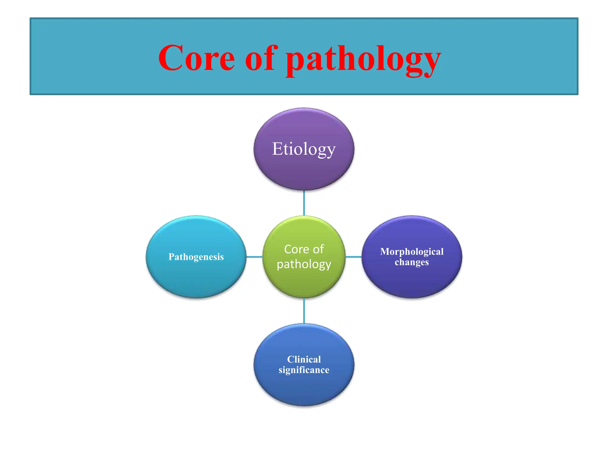PATHOLOGY -Dr- Ammar Omar -Assistant professor of Histopathology ...