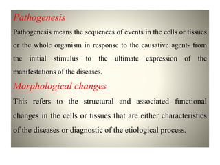 PATHOLOGY -Dr- Ammar Omar -Assistant professor of Histopathology ...