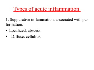 PATHOLOGY -Dr- Ammar Omar -Assistant professor of Histopathology ...