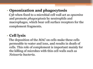 Complement System, Coagulation & Kinin System | PPTX