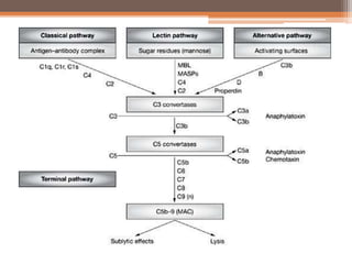 Complement System, Coagulation & Kinin System | PPTX