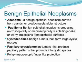 pathology-neoplasia for medical students.pptx