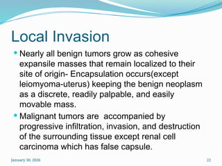 pathology-neoplasia for medical students.pptx