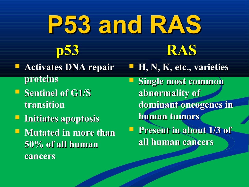 Pathology Neoplasm pathology-neoplasm
