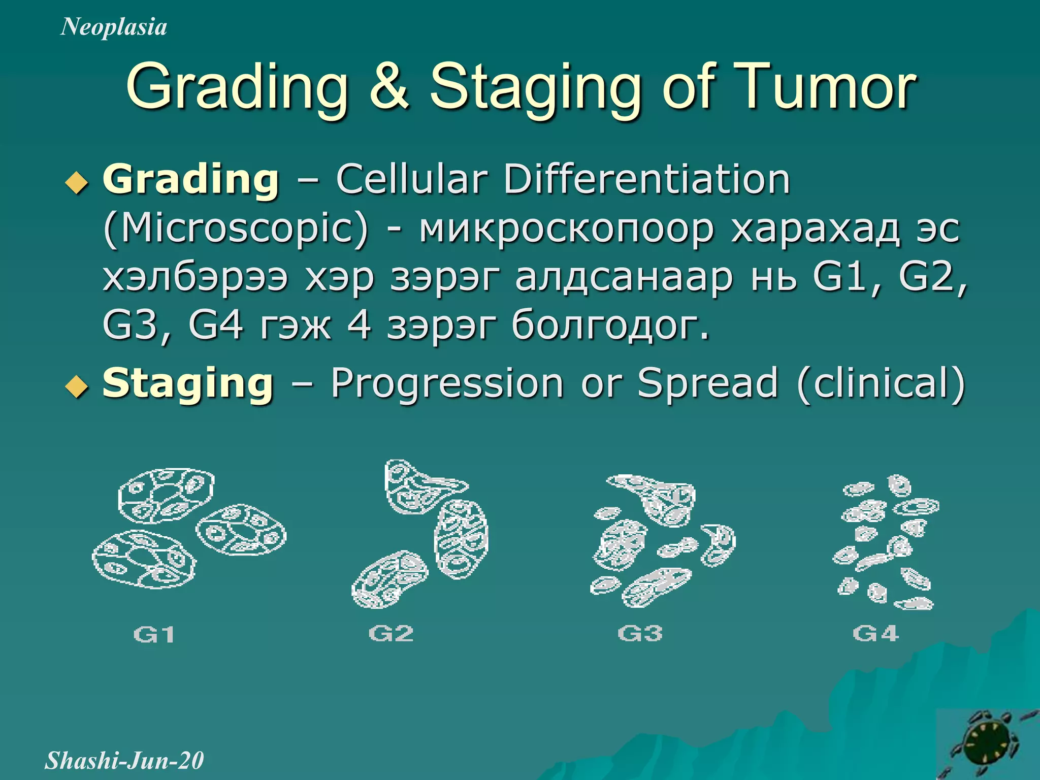 Pathology of neoplasia | PPT