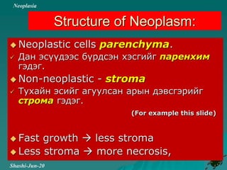 Pathology of neoplasia | PPT