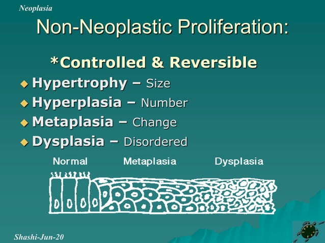 Pathology of neoplasia | PPT