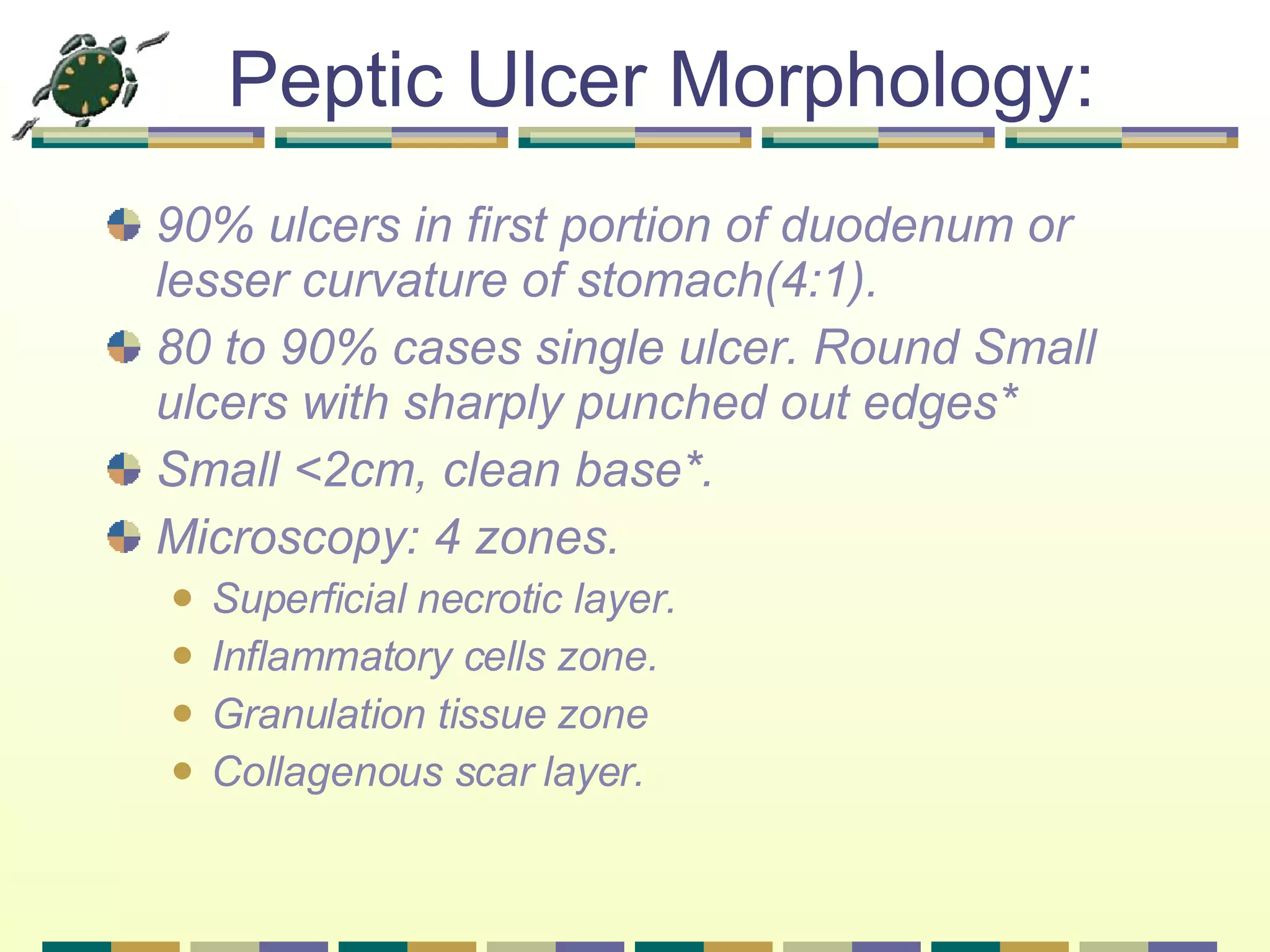 Rohal.peptic ulcer | PPT