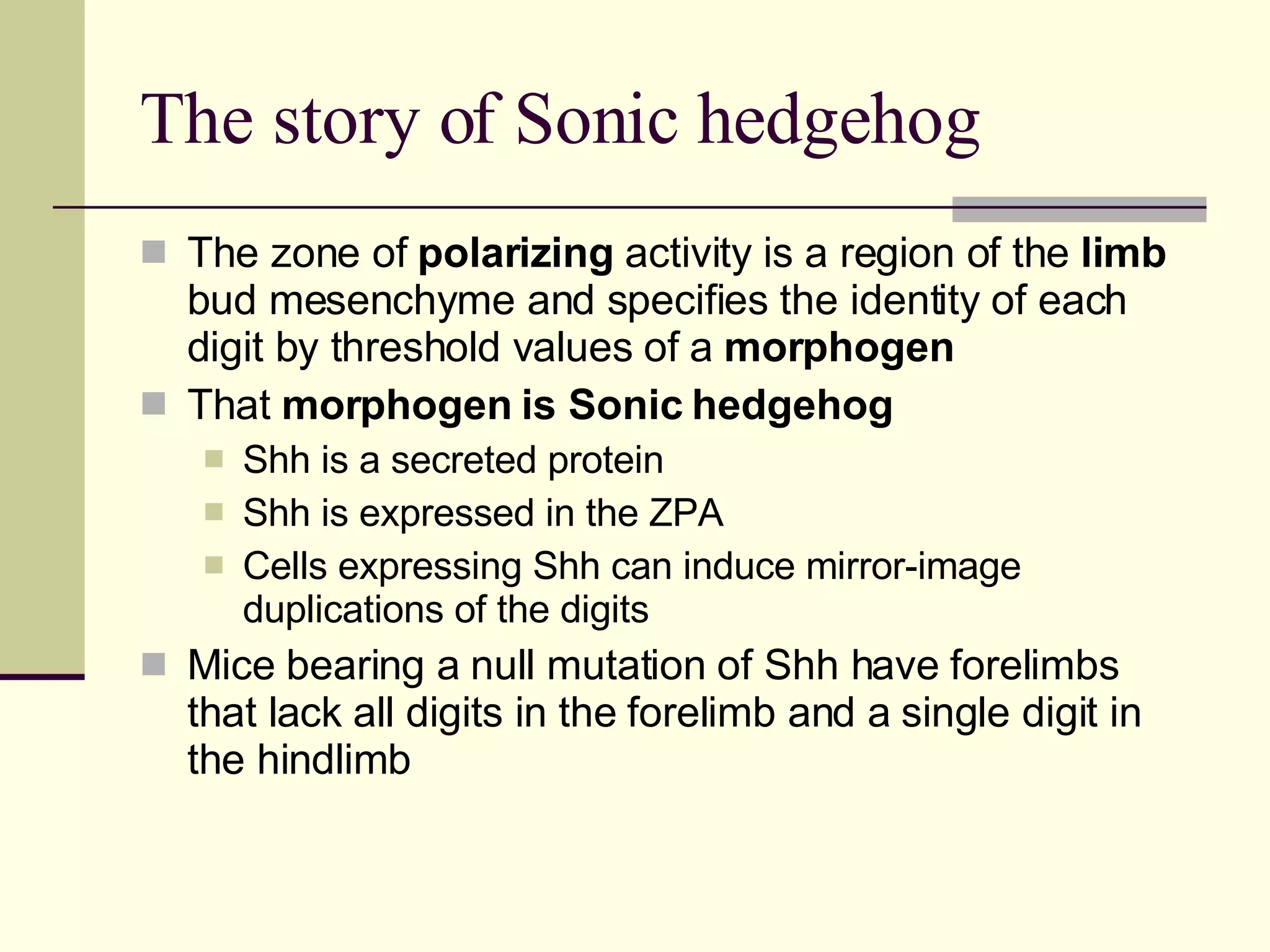 Greig Cephalopolysyndactyly Syndrome | PPT
