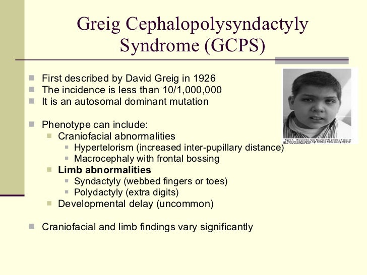 Greig Cephalopolysyndactyly Syndrome