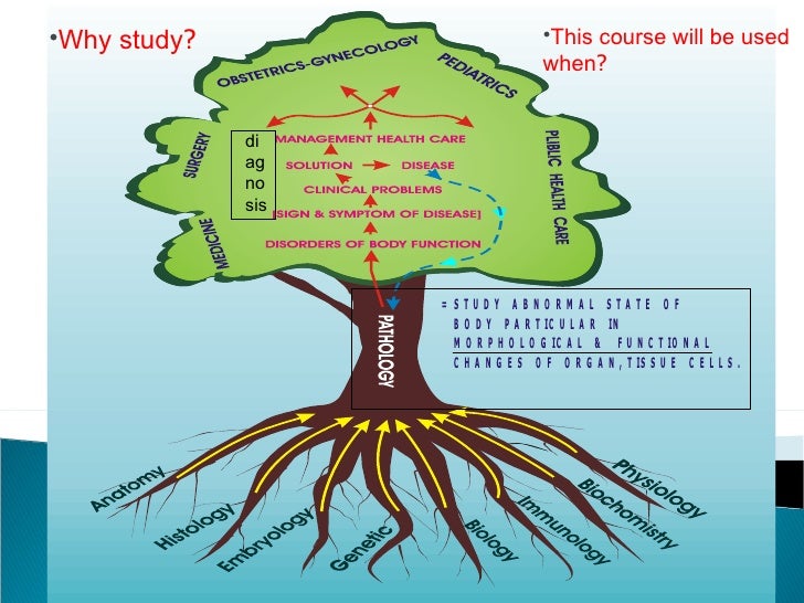 Pathology 1 intro