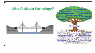 Pathology 1(1).pptx for medical nursing students | PPTX