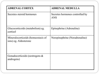 endocrine system | PPTX