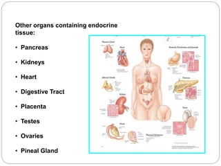 endocrine system | PPTX | Thyroid Disorders | Endocrine and Metabolic Diseases
