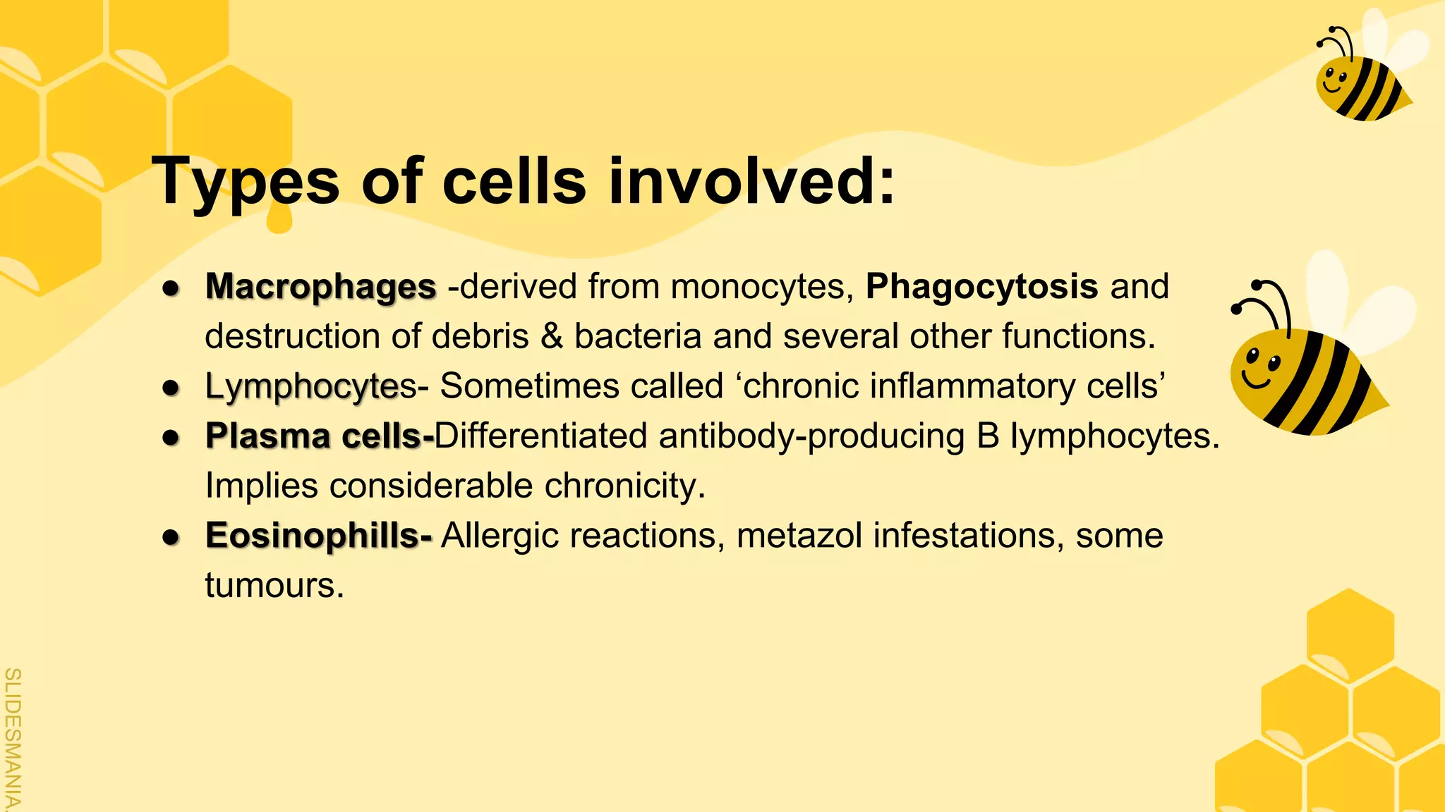 chronic inflammation | PPTX