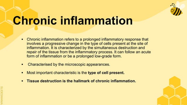 chronic inflammation | PPT