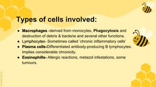 chronic inflammation | PPTX