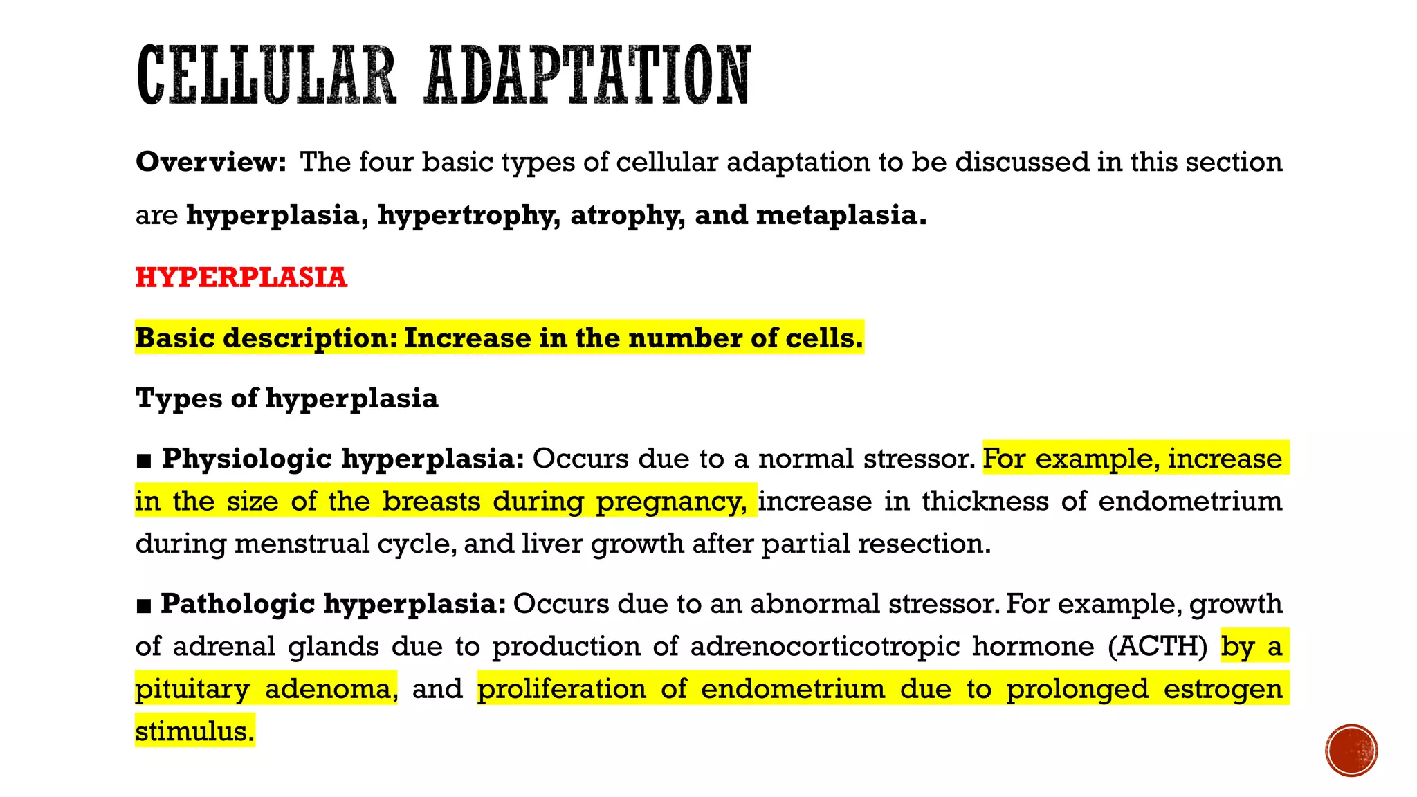 Pathology 2nd Sem.pdf