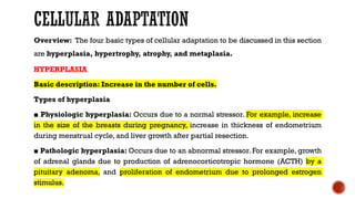 Pathology 2nd Sem.pdf