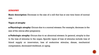 Pathology 2nd Sem.pdf