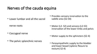 PATHOLOGY AND MANAGEMENT OF CAUDA EQUINA SYNDROME DR INYANG.pptx