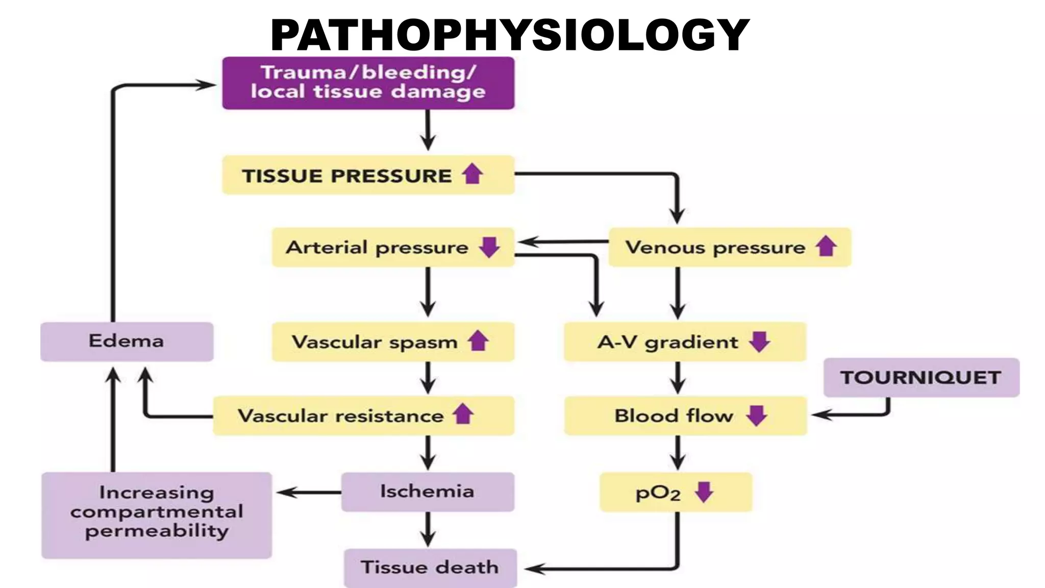 Pathology and management of compartment syndrome in orthopedics 1 | PPT