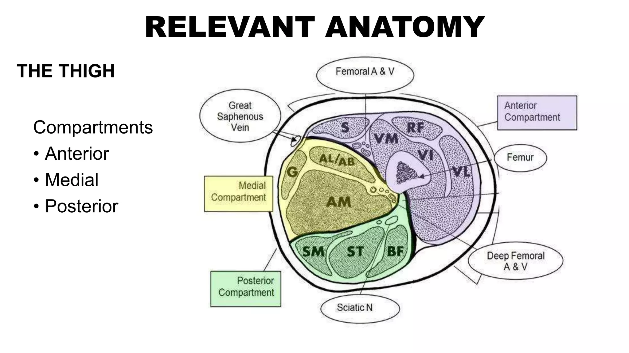 Pathology and management of compartment syndrome in orthopedics 1 | PPT