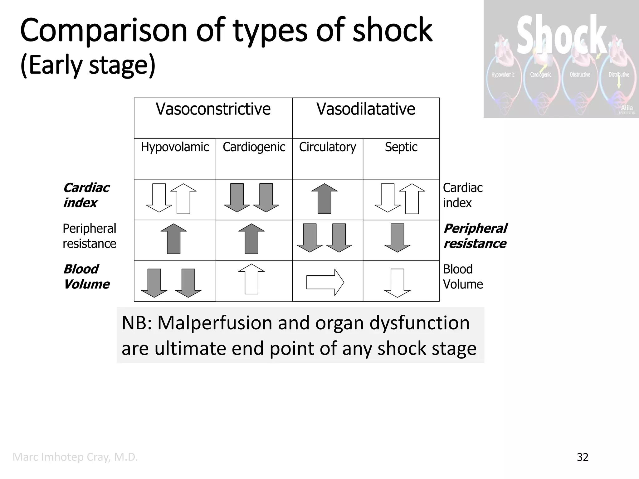 Pathology and Pathophysiology of Shock | PDF