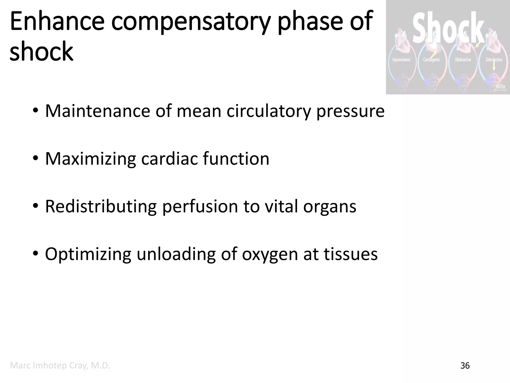 Pathology and Pathophysiology of Shock | PDF