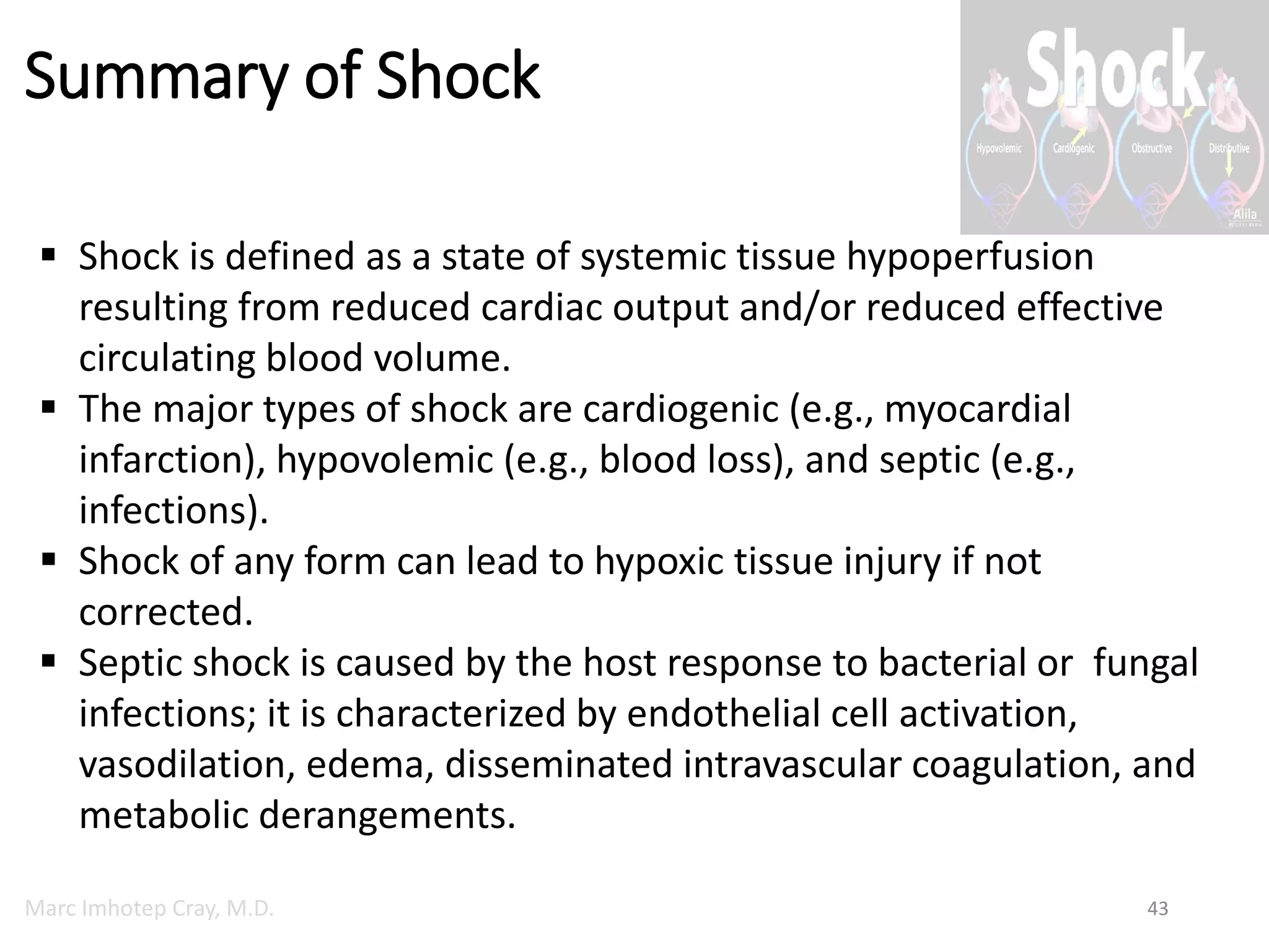 Pathology and Pathophysiology of Shock | PDF