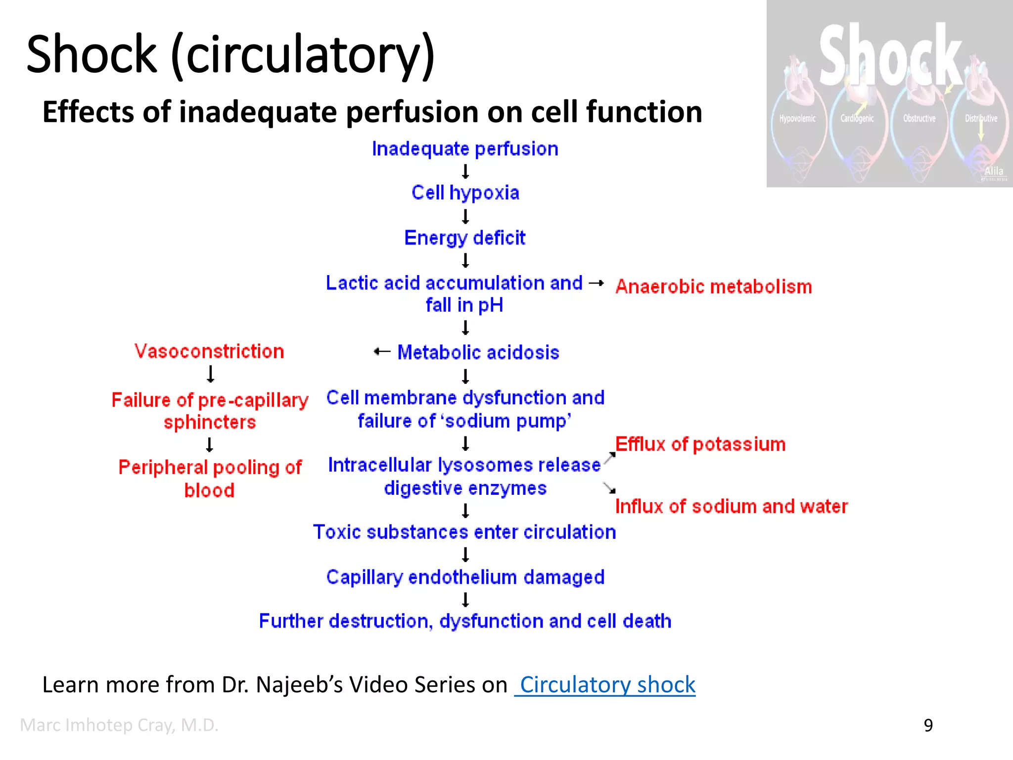 Pathology and Pathophysiology of Shock | PDF