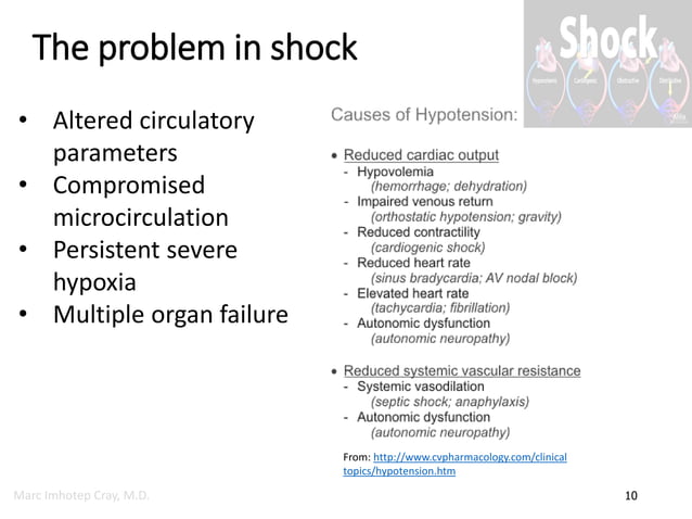 Pathology and Pathophysiology of Shock | PDF