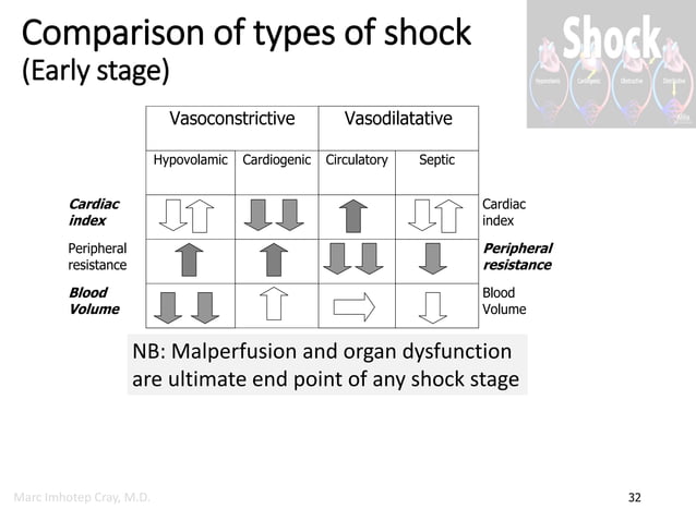 Pathology and Pathophysiology of Shock | PDF