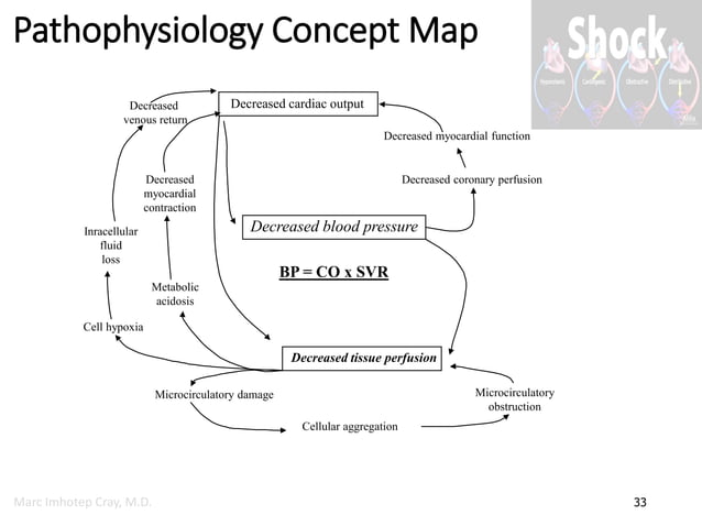 Pathology and Pathophysiology of Shock | PDF