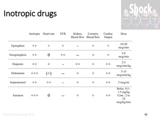 Pathology and Pathophysiology of Shock | PDF