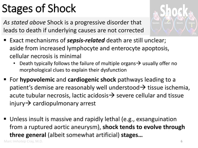 Pathology and Pathophysiology of Shock | PDF