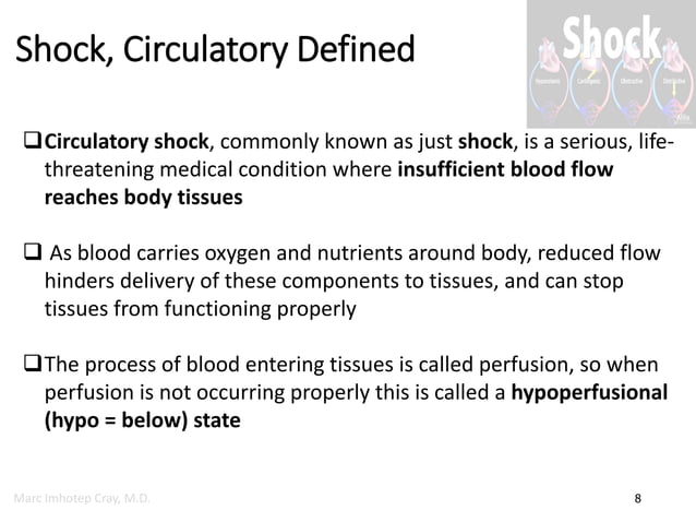 Pathology and Pathophysiology of Shock | PDF