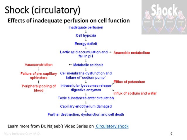 Pathology and Pathophysiology of Shock | PDF