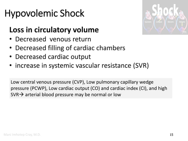 Pathology and Pathophysiology of Shock